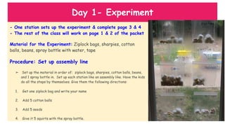 M3 u4a2 pbl - growing plants- kindergarten | PPTX