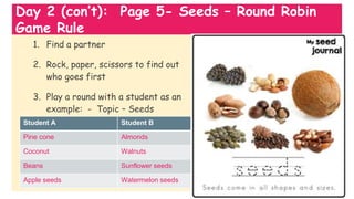 M3 u4a2 pbl - growing plants- kindergarten | PPTX | Gardening | Home ...