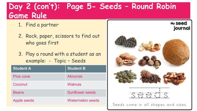 M3 u4a2 pbl - growing plants- kindergarten | PPT