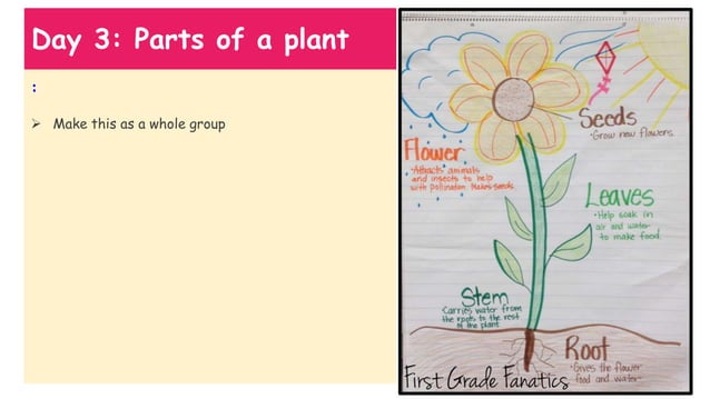 M3 u4a2 pbl - growing plants- kindergarten | PPT