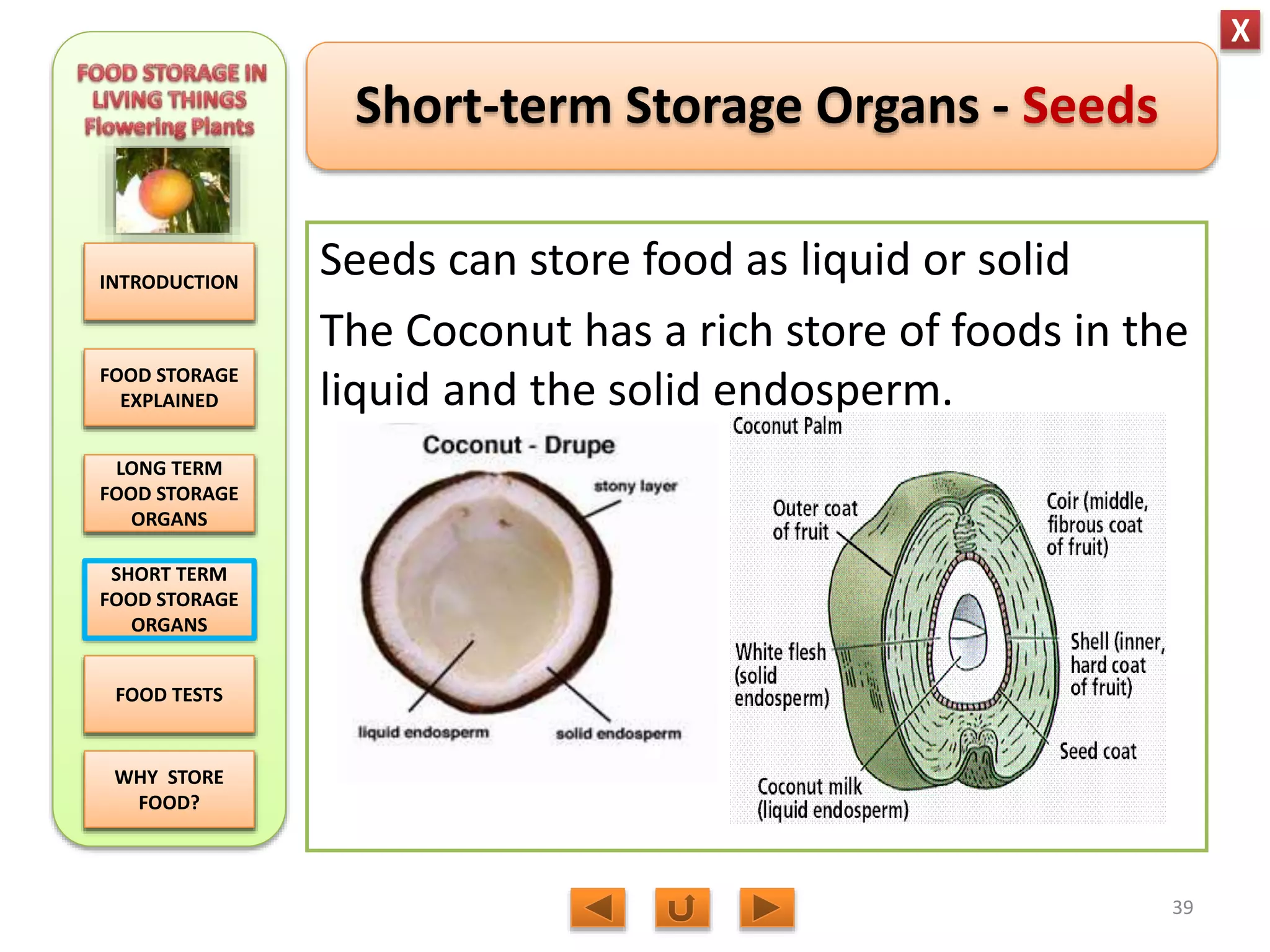 Biology M3 Food Storage in flowering plants | PPTX