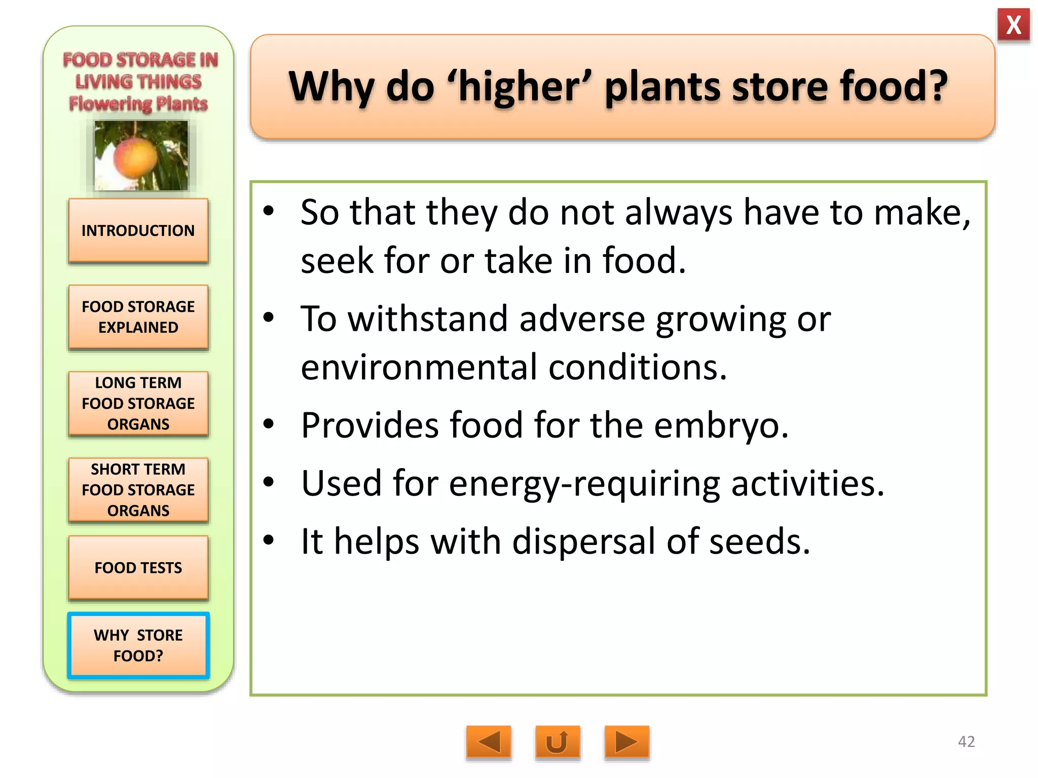Biology M3 Food Storage in flowering plants | PPTX