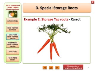 Biology M3 Food Storage in flowering plants | PPTX