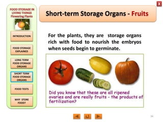 Biology M3 Food Storage in flowering plants | PPTX