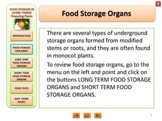 Biology M3 Food Storage in flowering plants | PPTX