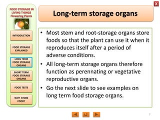 Biology M3 Food Storage in flowering plants | PPTX