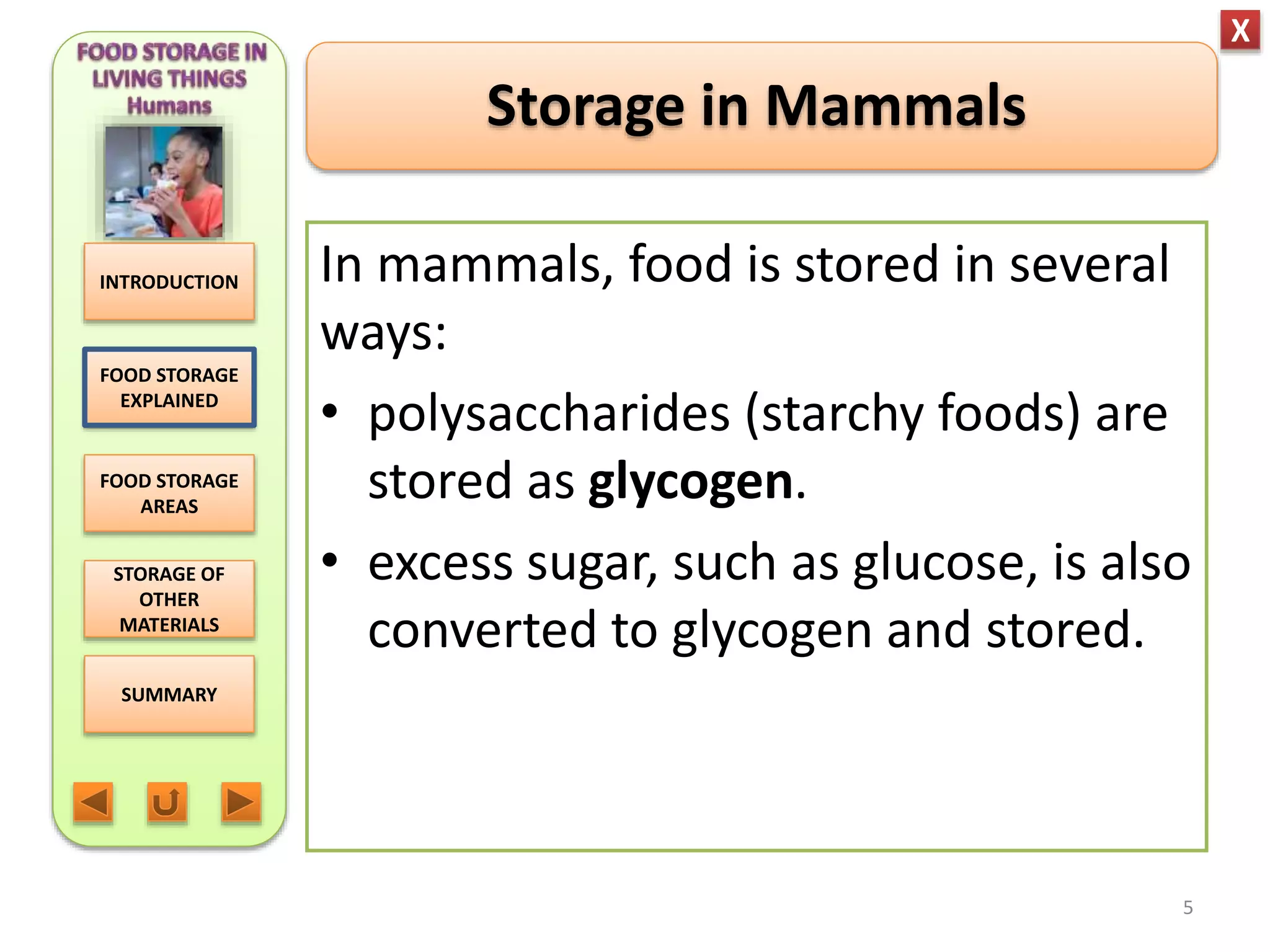 Bilogy M3 Food Storage in Humans | PPTX