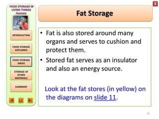 Bilogy M3 Food Storage in Humans | PPTX