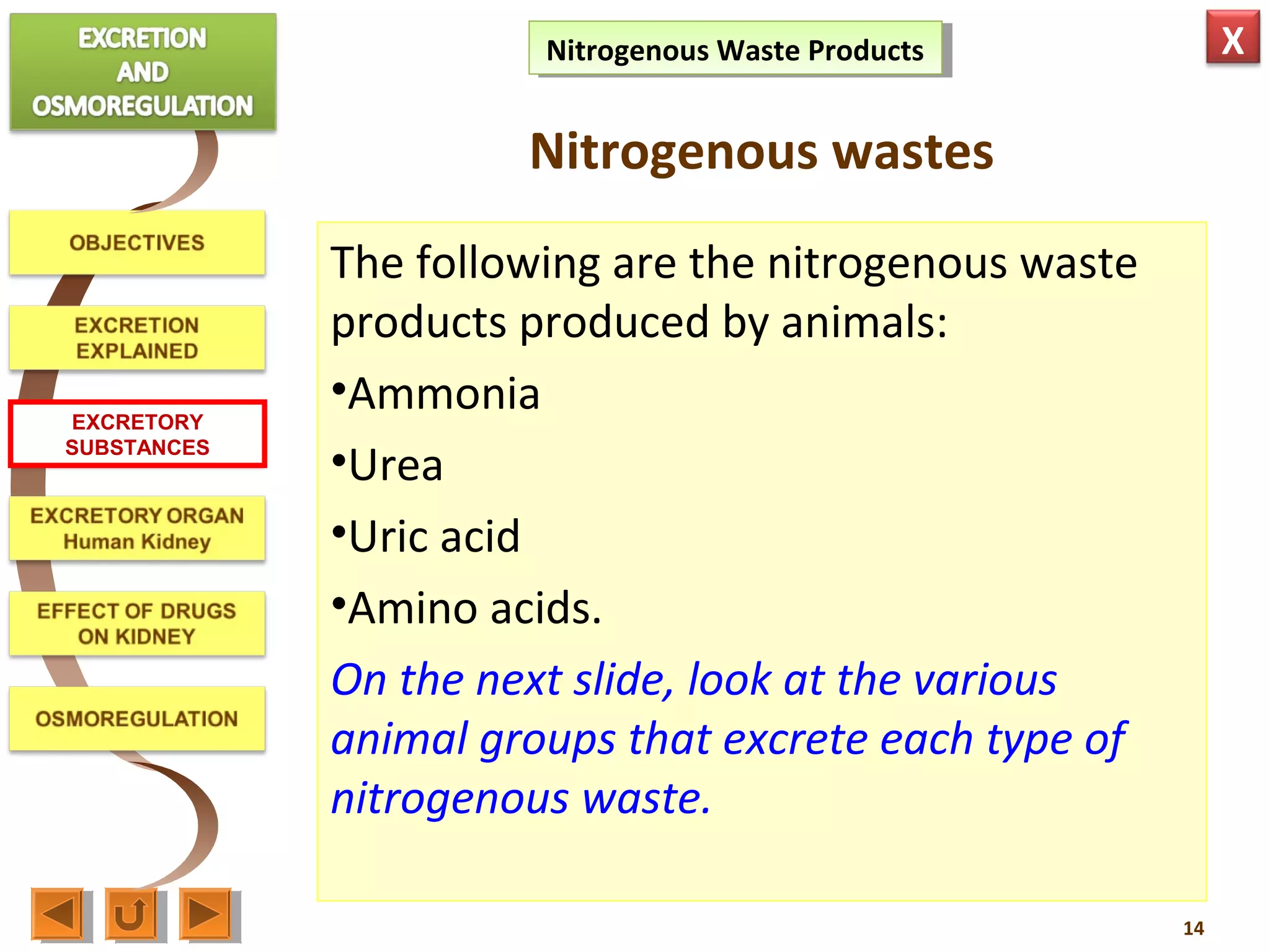 Biology M3 Excretion & Osmoregulation | PPT