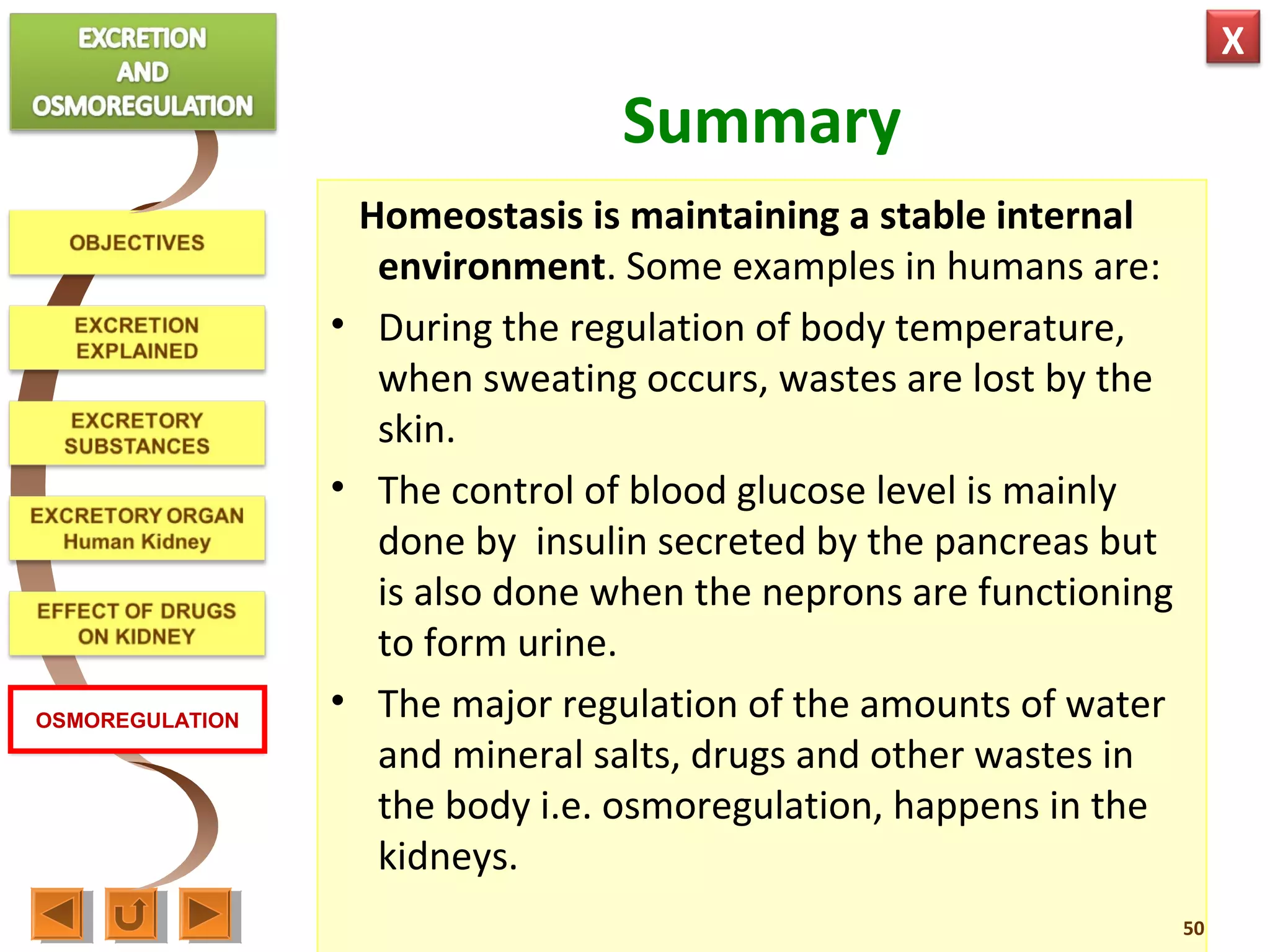 Biology M3 Excretion & Osmoregulation | PPT