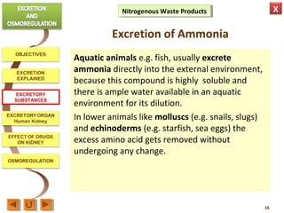 Biology M3 Excretion & Osmoregulation | PPT