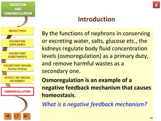 Biology M3 Excretion & Osmoregulation | PPT