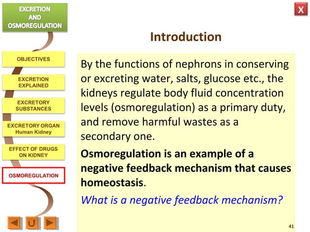 Biology M3 Excretion & Osmoregulation | PPT