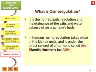 Biology M3 Excretion & Osmoregulation | PPT