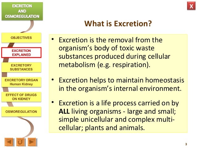 Excretion Meaning Excretory Products and Modes of Excretion ...