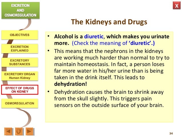 Excretion Meaning Excretory Products and Modes of Excretion ...