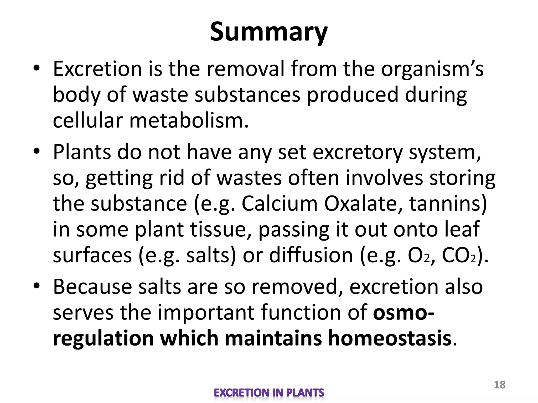 Biology M3 Excretion in Plants | PPTX
