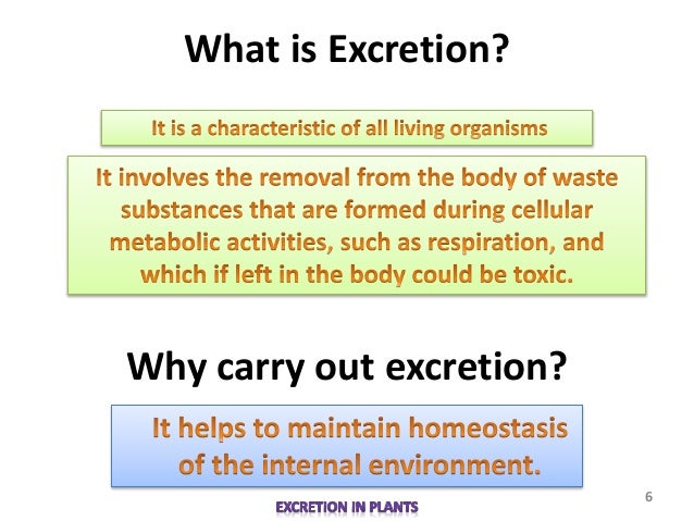 Biology M3 Excretion in Plants