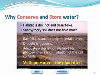 Biology M3 Water Conservation in plants | PPTX