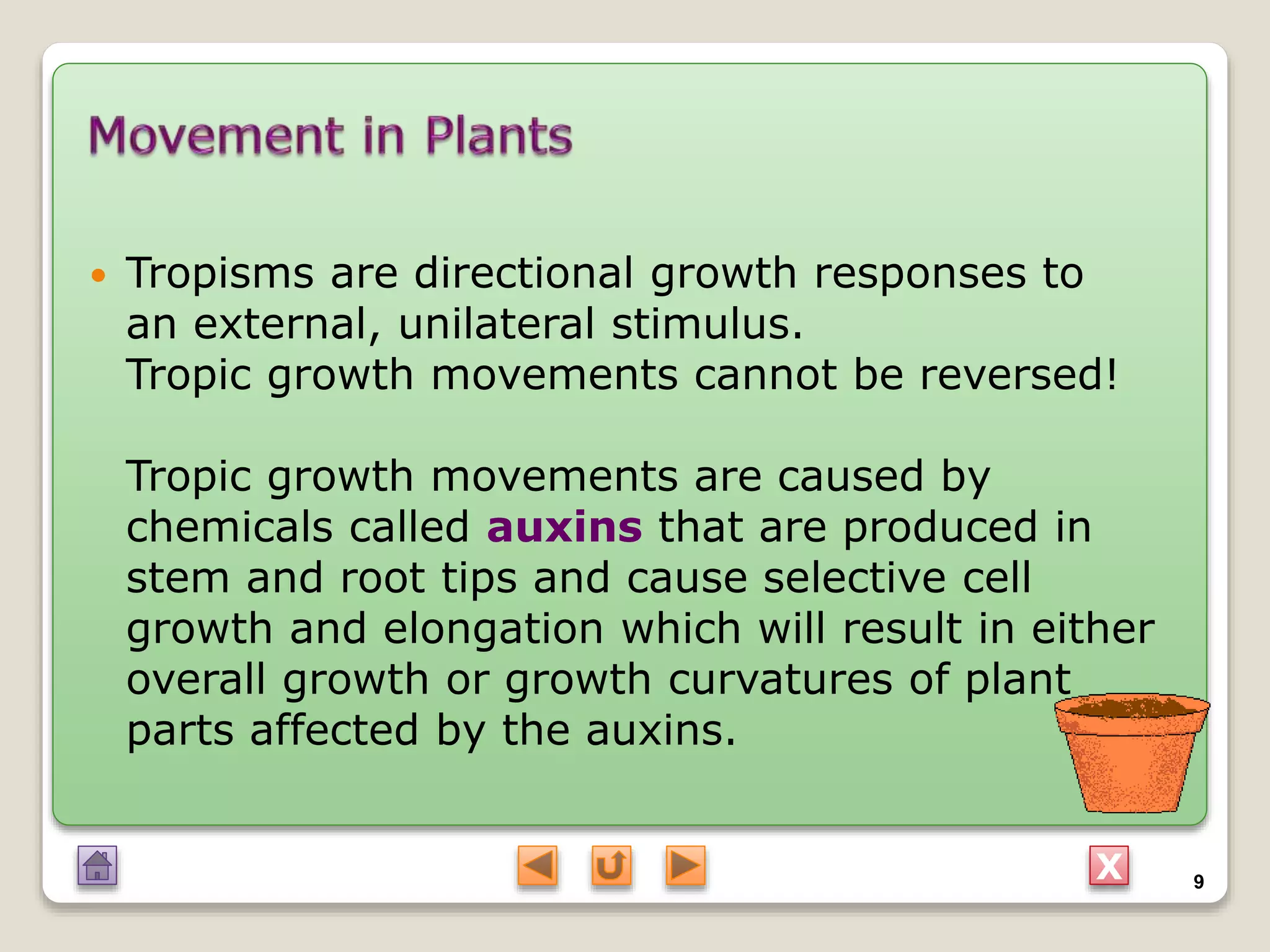 Biology M3 Movement in plants and animals | PPTX