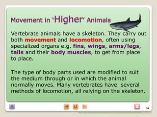 Biology M3 Movement in plants and animals | PPTX