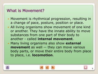 Biology M3 Movement in plants and animals | PPTX