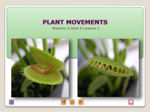 Biology M3 Movement in plants and animals