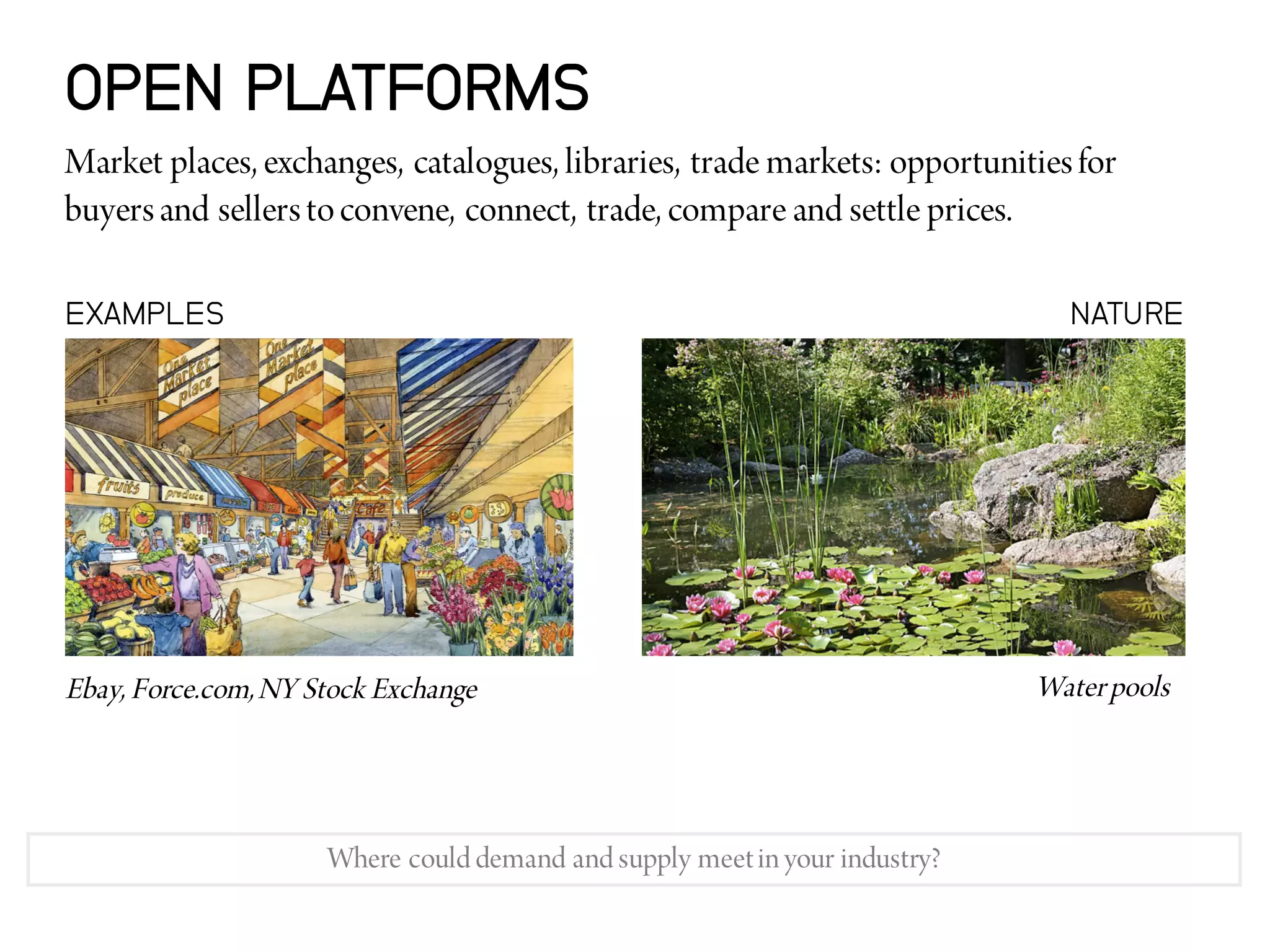 Value Chains and Ecosystems | PPT