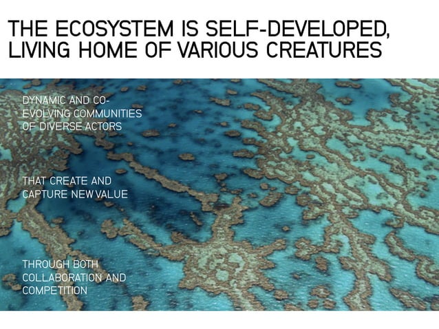 Value Chains and Ecosystems | PPT
