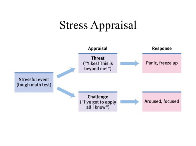 Stress Slides | KEY
