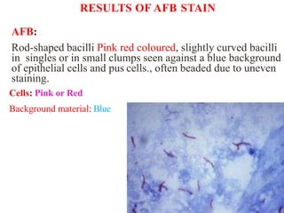 M 4 afb stain by Dr vimal prakash | PPT