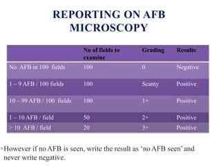 M 4 afb stain by Dr vimal prakash | PPT