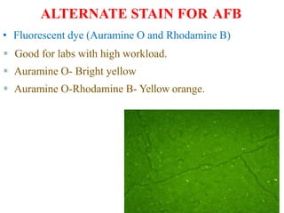 M 4 afb stain by Dr vimal prakash | PDF