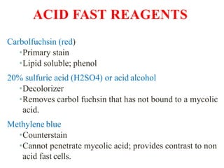 M 4 afb stain by Dr vimal prakash | PPT