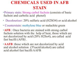 M 4 afb stain by Dr vimal prakash | PDF