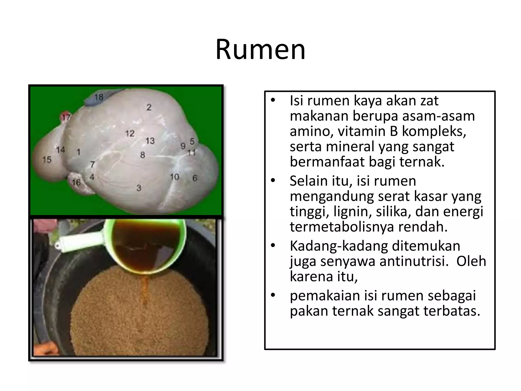 M4KON-BAHAN-PAKAN-ASAL-HEWANI.pptx