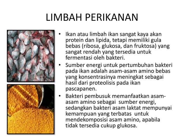 M4KON-BAHAN-PAKAN-ASAL-HEWANI.pptx
