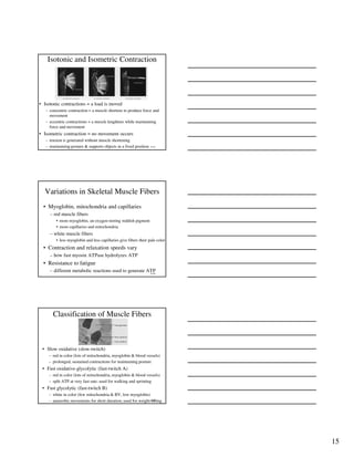 Anatomy And Physiology of Muscles tissue | PDF