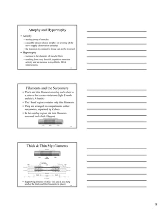 Anatomy And Physiology of Muscles tissue | PDF | Biological Sciences ...