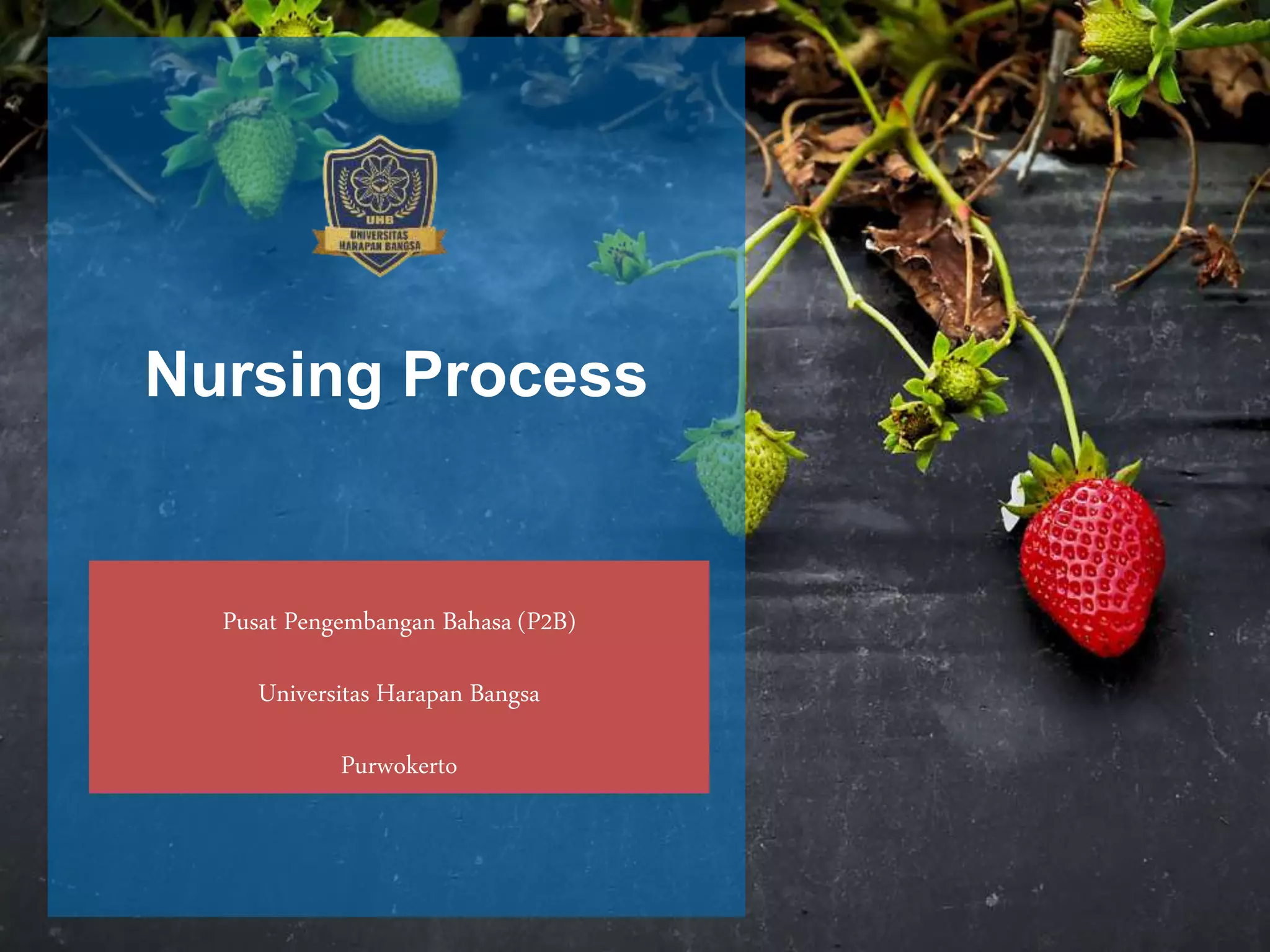 M5.PPT.Nursing Process.pptx