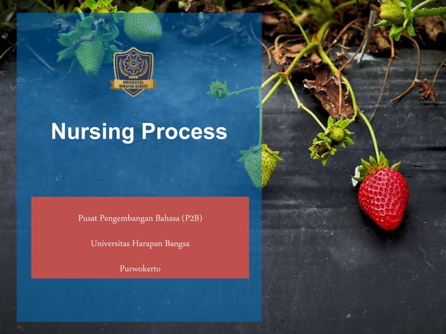 M5.PPT.Nursing Process.pptx