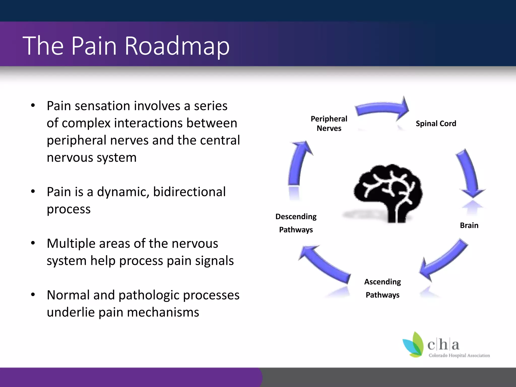 M5_Anatomy-and-Physiology-of-Pain.pptx