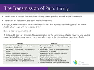 M5_Anatomy-and-Physiology-of-Pain.pptx