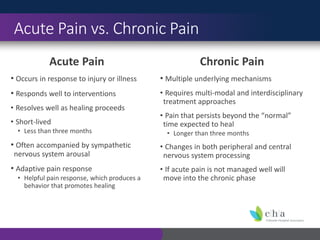 M5_Anatomy-and-Physiology-of-Pain.pptx