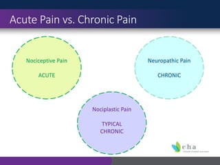M5_Anatomy-and-Physiology-of-Pain.pptx