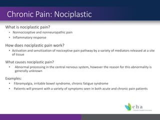 M5_Anatomy-and-Physiology-of-Pain.pptx