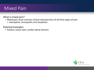 M5_Anatomy-and-Physiology-of-Pain.pptx