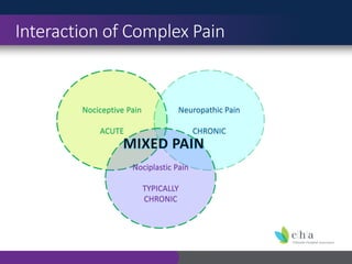 M5_Anatomy-and-Physiology-of-Pain.pptx