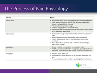 M5_Anatomy-and-Physiology-of-Pain.pptx