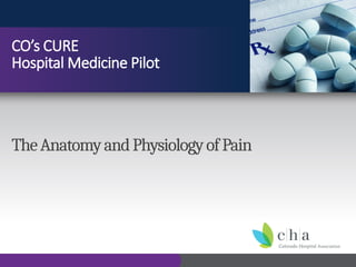 M5_Anatomy-and-Physiology-of-Pain.module5pptx | PPTX